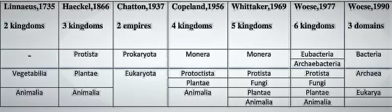Bacteria Kingdom Classification Chapter 2 Biological Classification