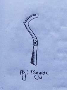 What is a Herbarium? preparation, importance, functions and botanical ...